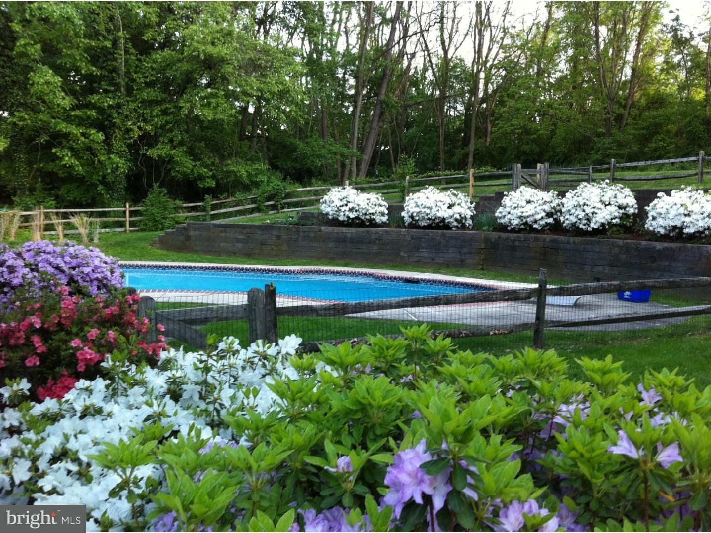 Pool Decor Ideas & Inspiration- and the Hamptons' Dirty Little Secret ...