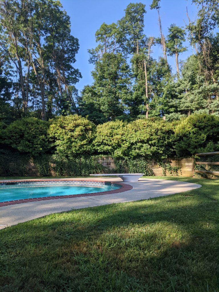 Pool Decor Ideas & Inspiration- and the Hamptons' Dirty Little Secret ...